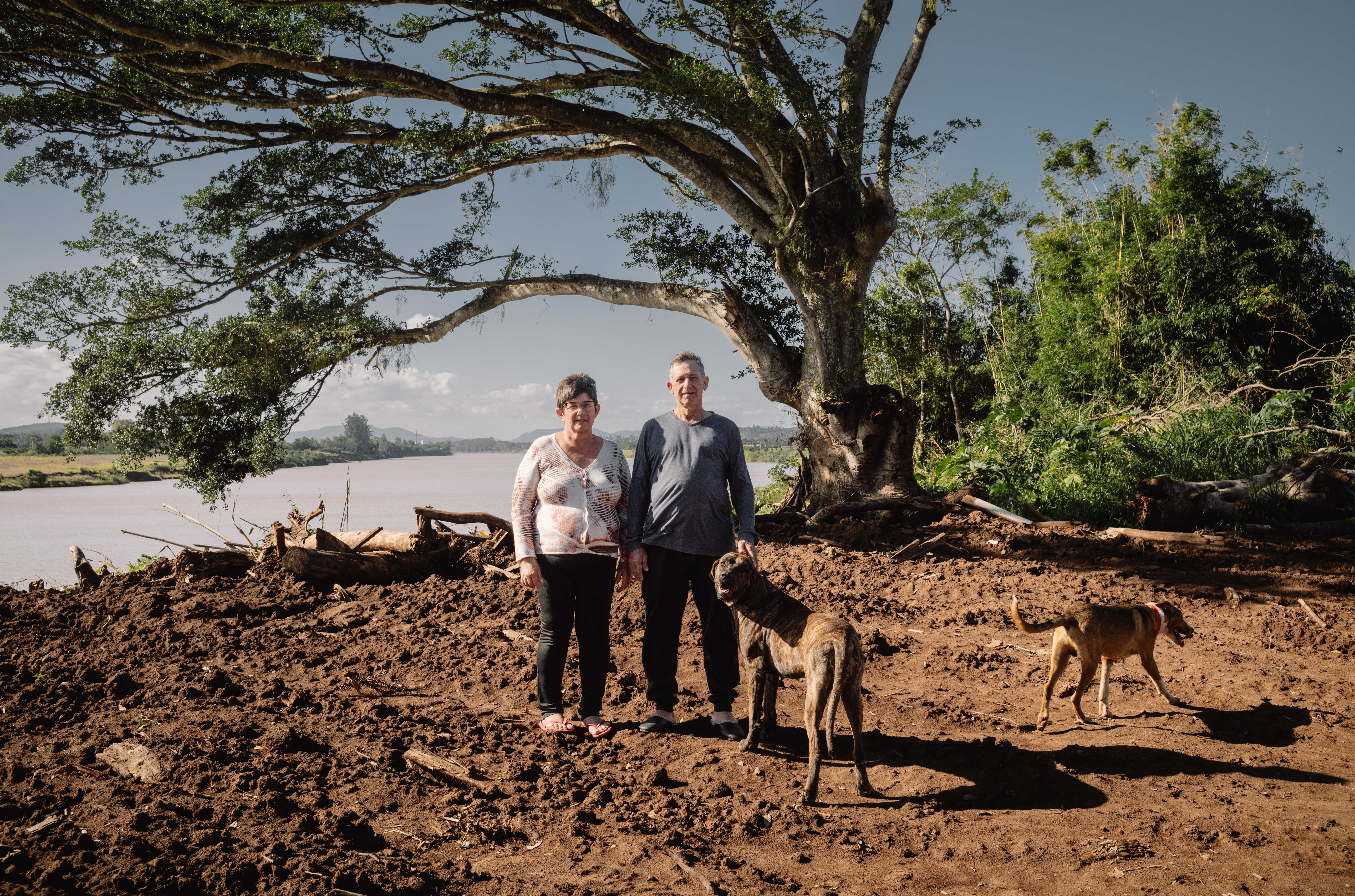 ENCHENTES RS | Agricultora celebra sua primeira colheita um ano após ...